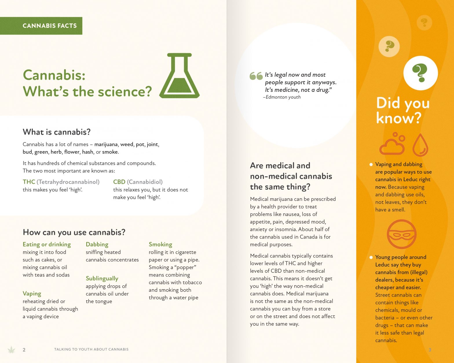 Talking to Youth about Cannabis Booklet + Postcards – Rory Lee Design